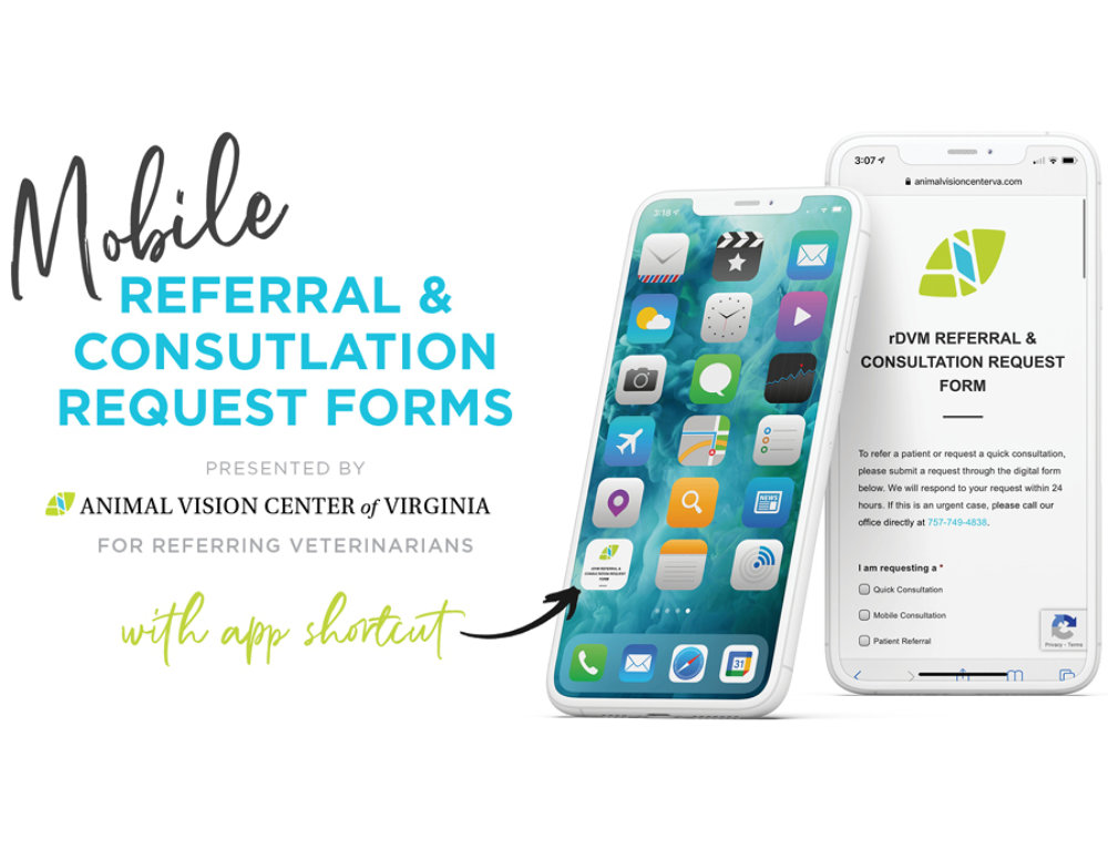 Uveitis Causes and Treatment - Animal Vision Center of VA