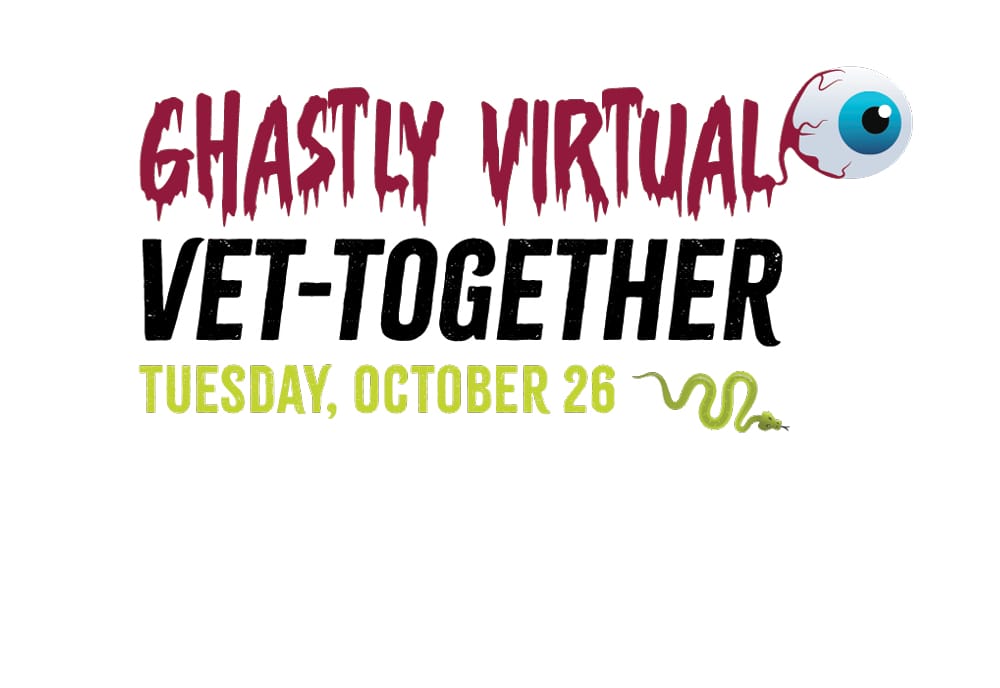 Join Us for a Ghastly Virtual Vet-Together - Animal Vision Center of VA